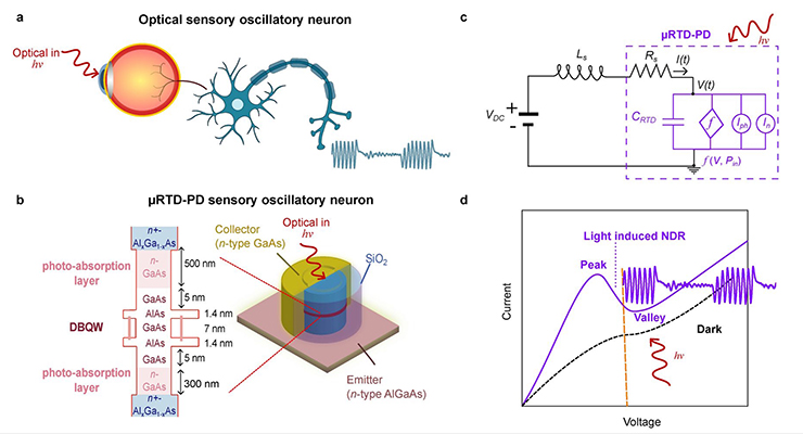 How does negative differential resistance relate to neuromorphic ...